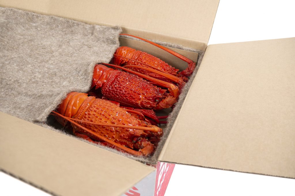Sustainable packaging for seafood | Corrugated Of Course!